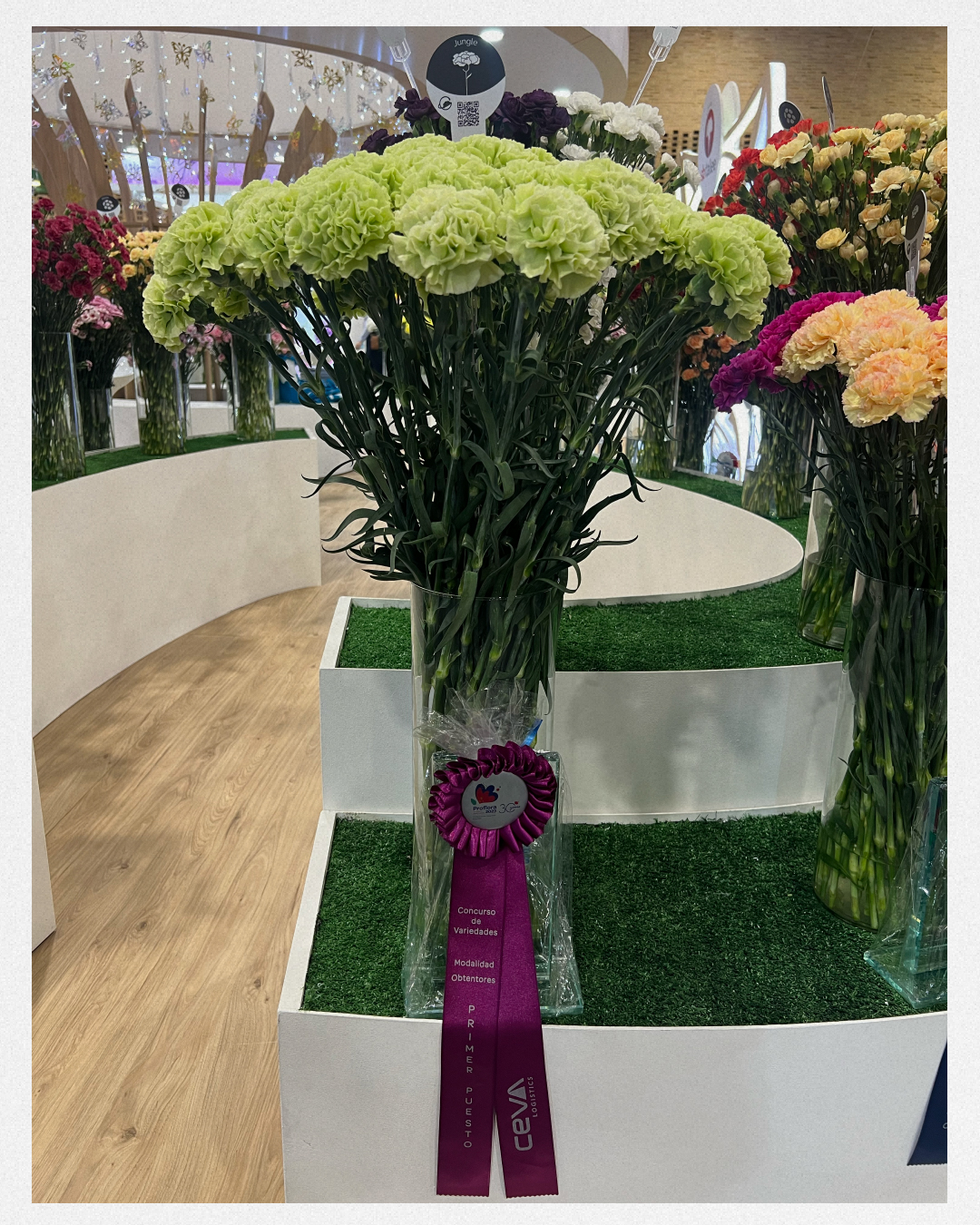 Orgullo y satisfacción total! | SB Talee